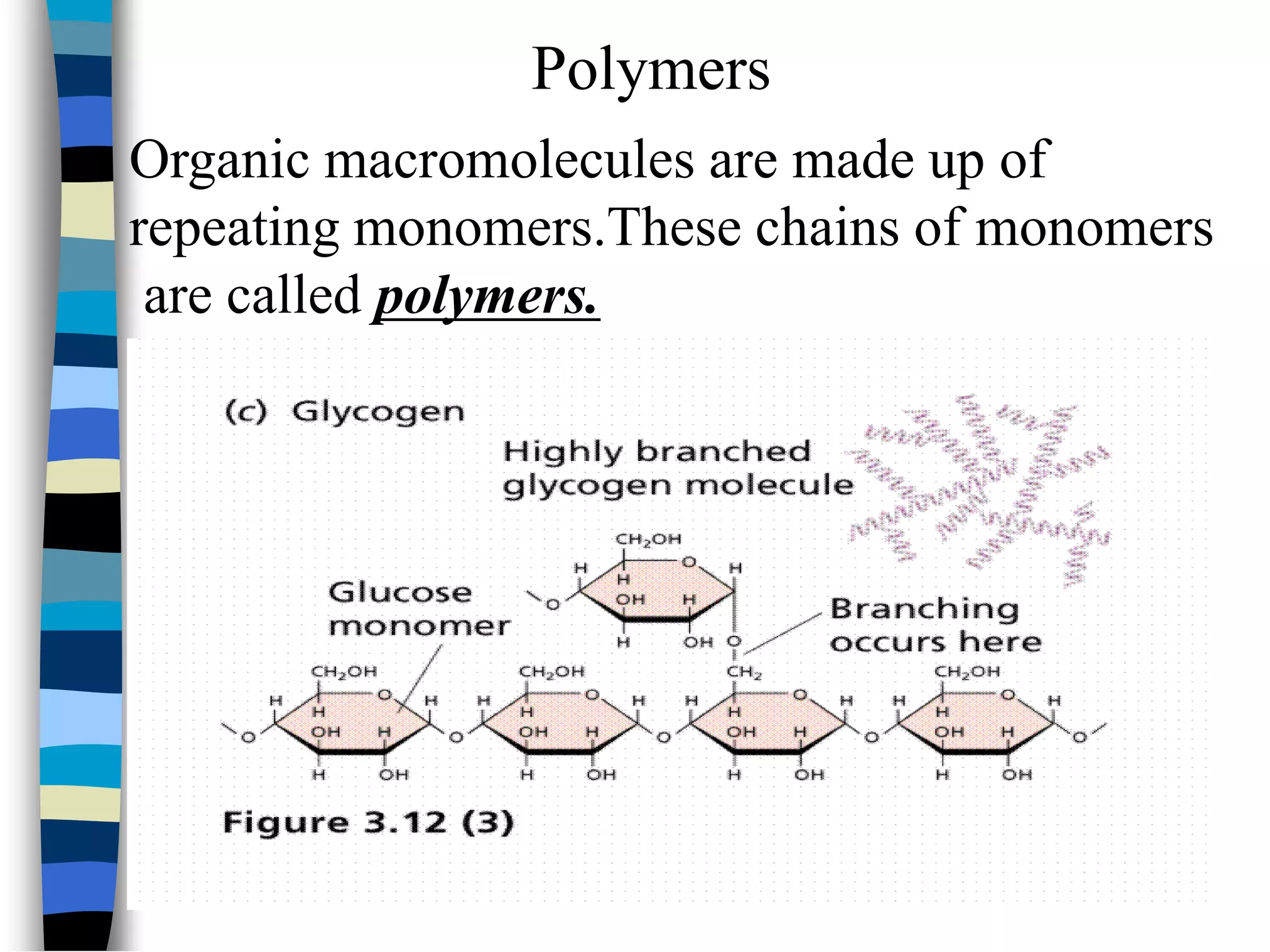 organic compounds 2010.ppt | Chemistry | Science