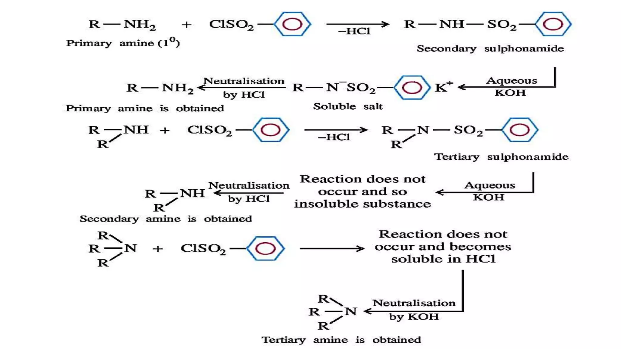 Organic compounds containing nitrogen | PPTX