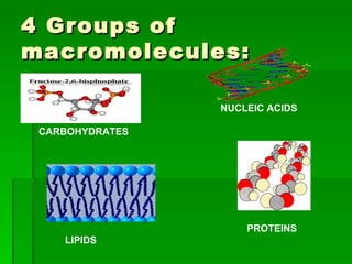 Organic compounds for blog | PPT