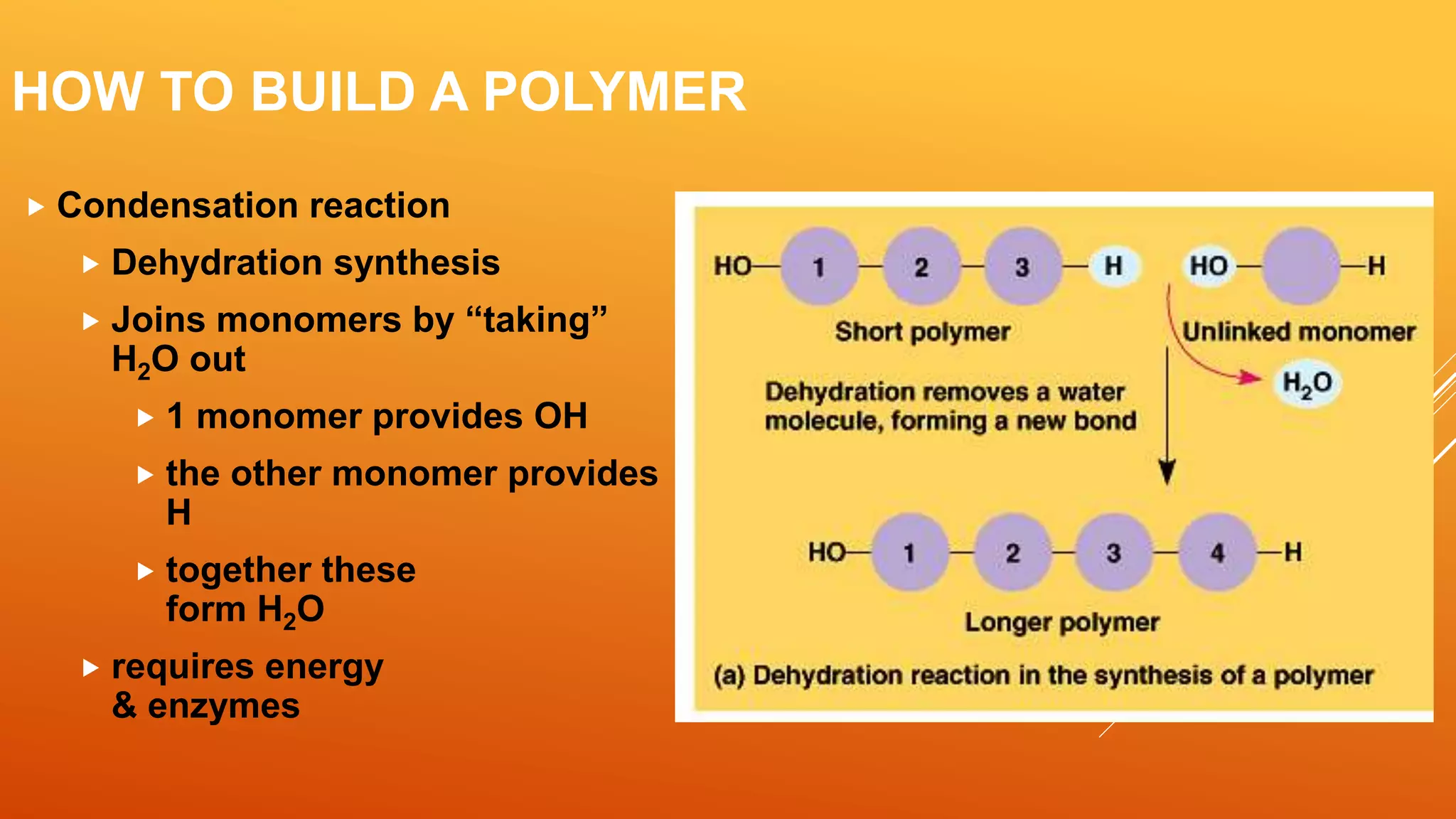Organic compounds presentation | PPTX