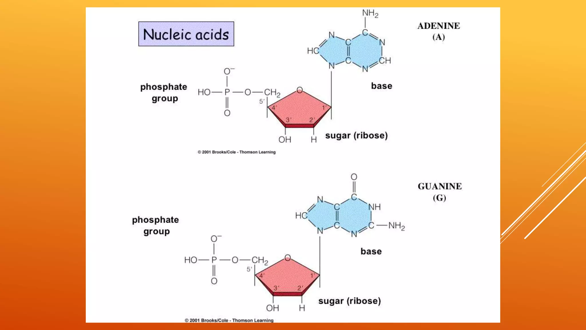 Organic compounds presentation | PPTX