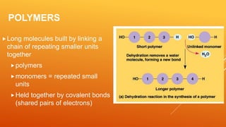 Organic compounds presentation | PPTX