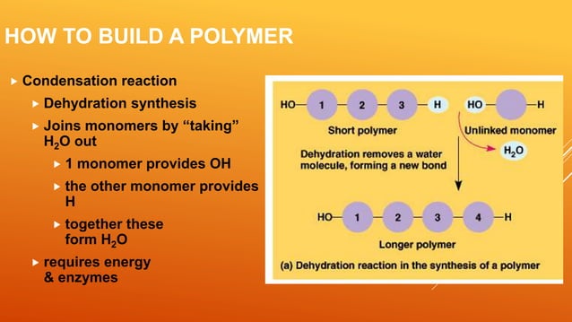 Organic compounds presentation | PPTX