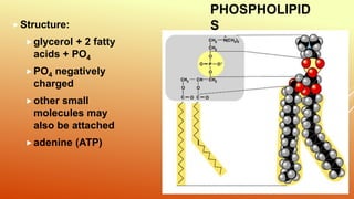 Organic compounds presentation | PPTX