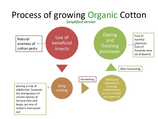 Benefits of Organic Cotton over conventional cotton Benefits of Organic Cotton over conventional cotton
