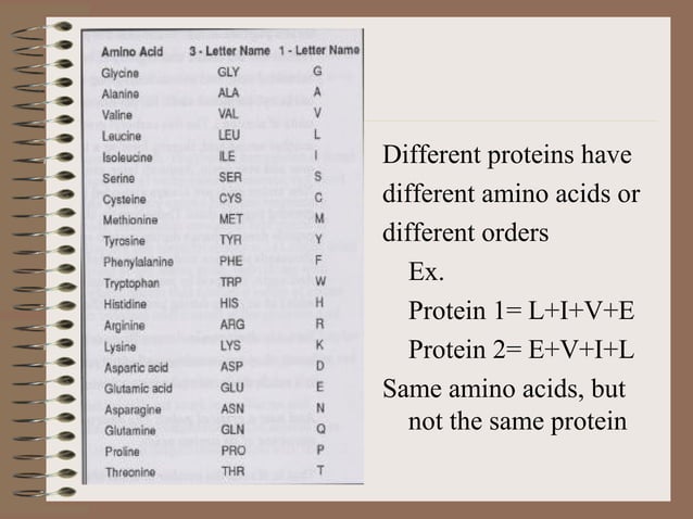 Organic Compounds Notes Part 2 - Proteins and Nucleic Acids | PPT