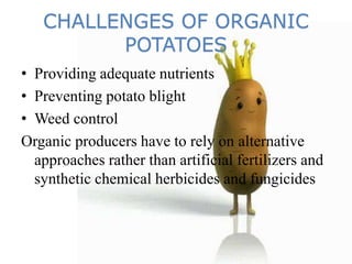 Organic cultivation of potato | PPTX