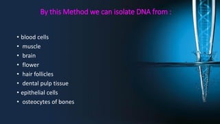 organic Extraction level2.pdf