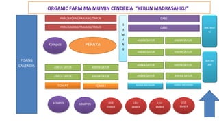 Organic Farm.docx