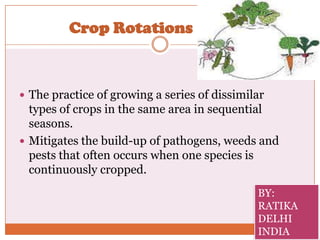 Organic farming | PPTX