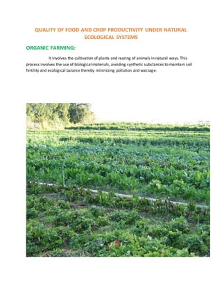 Organic farming assignment by Usama Afzal Islamia University of ...