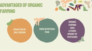 ORGANIC FARMING.pptx
