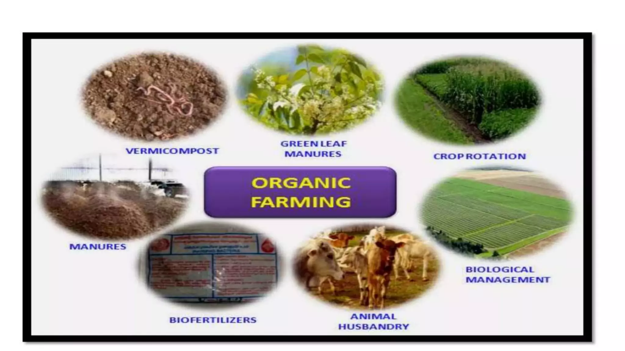 Nutrient Management in organic farming.pptx
