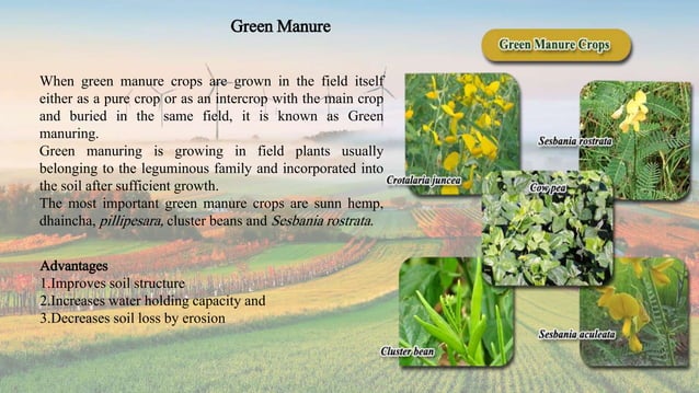 Nutrient Management in organic farming.pptx