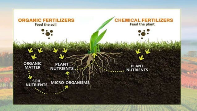 Nutrient Management in organic farming.pptx