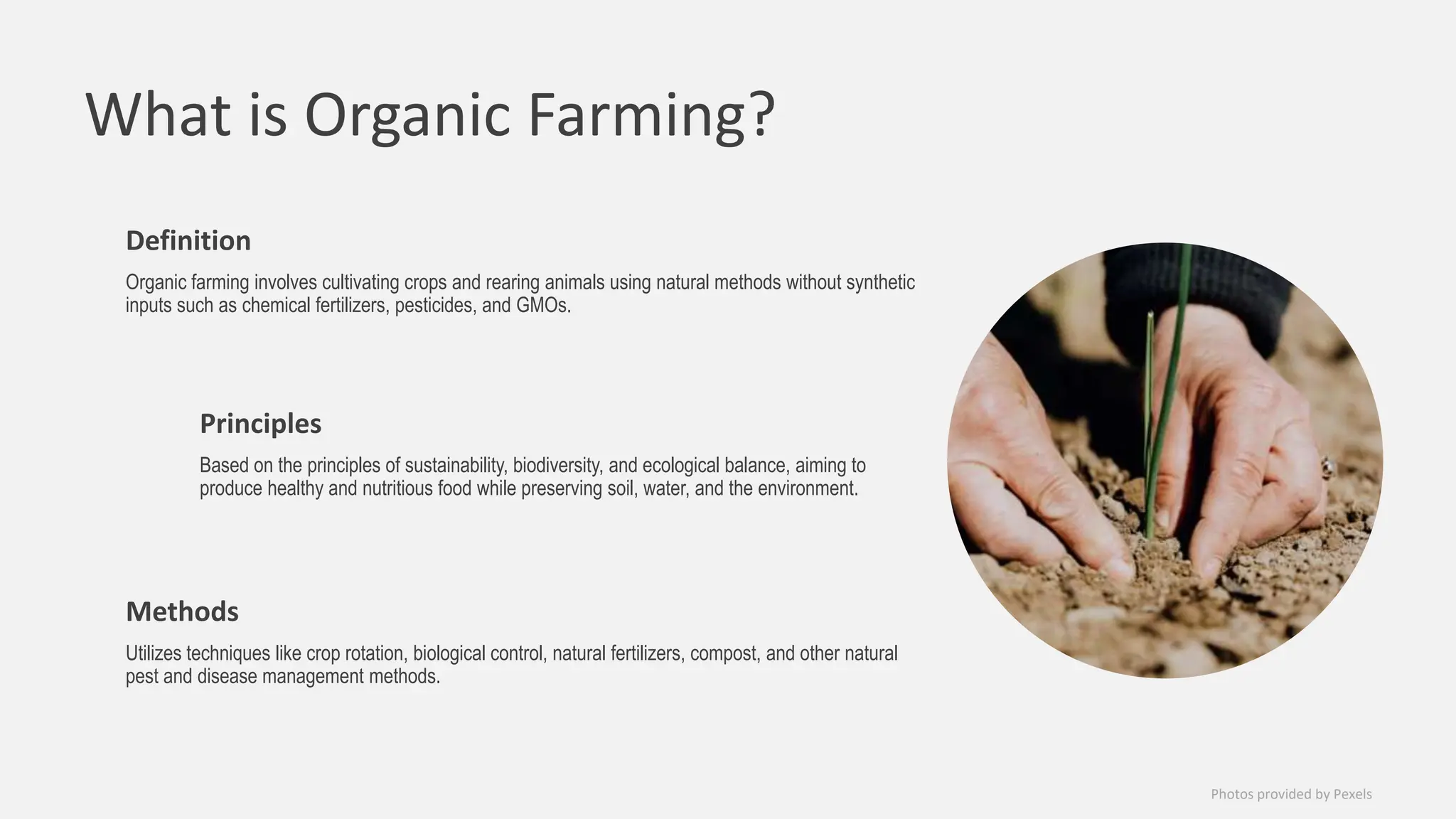 Organic Farming: Promoting Sustainability and Environmental Protection.pptx