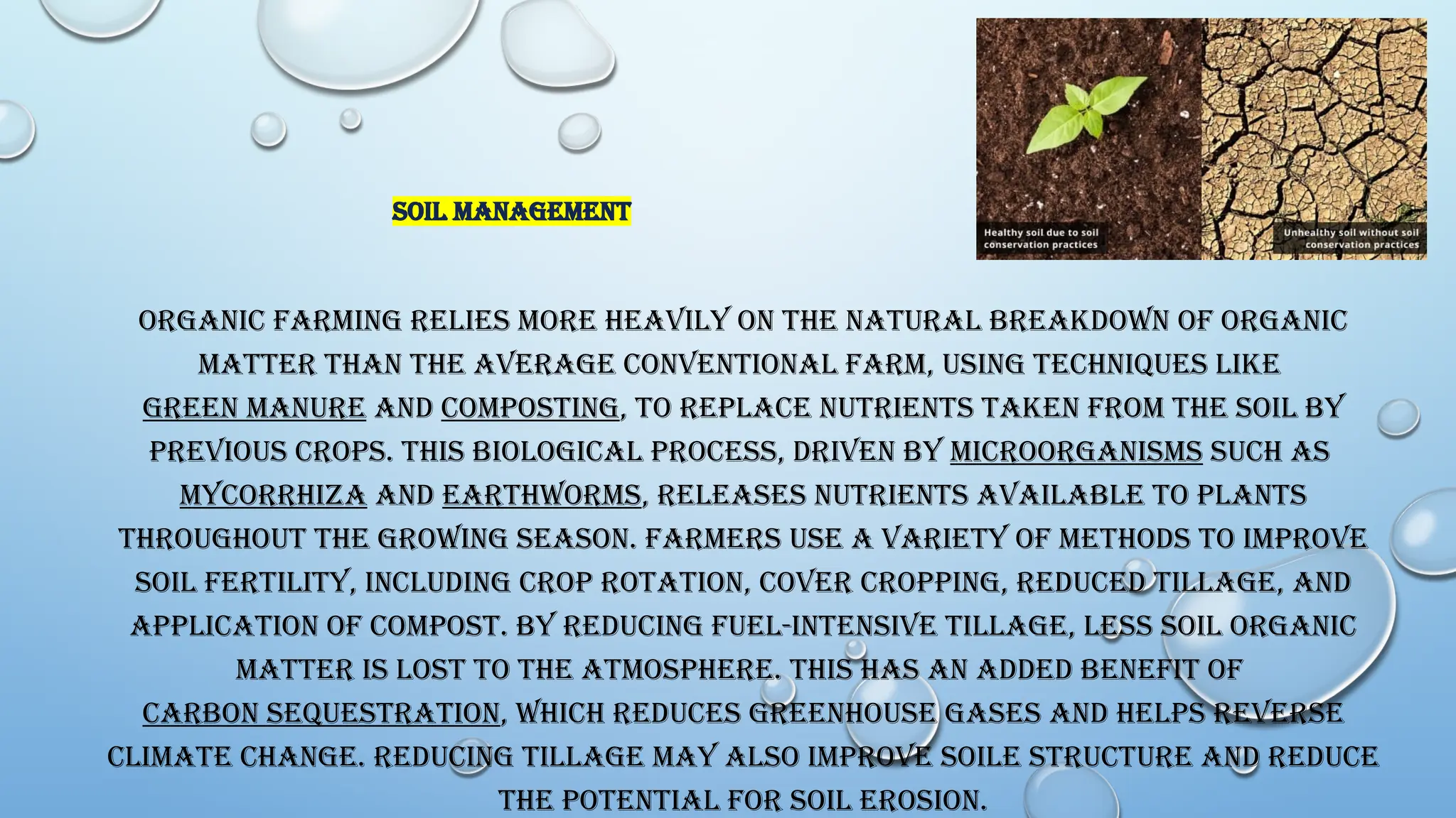 Organic Farming Back TO the Nature.pptx