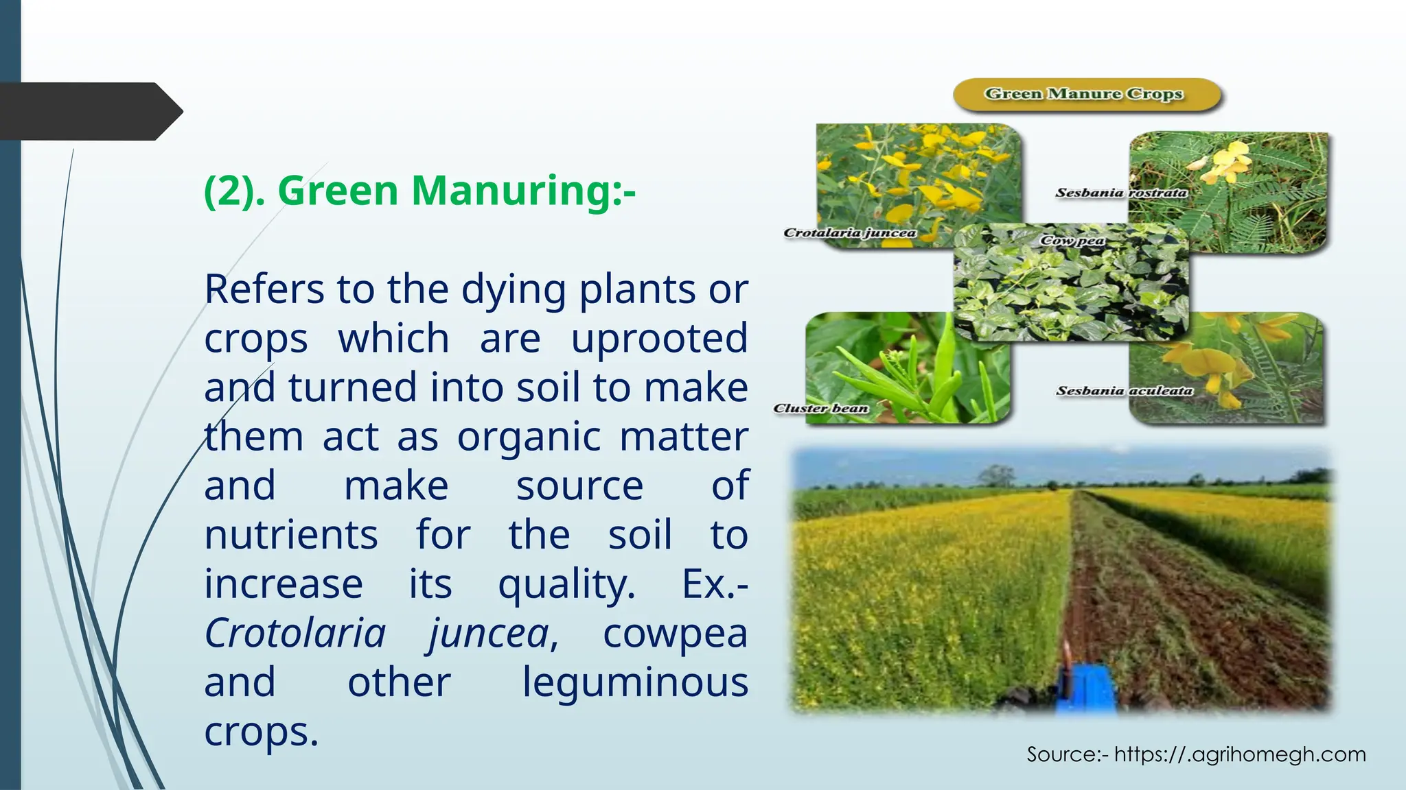 organicfarming bhavna yadav.organ8c pptx | PPTX