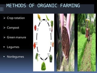 Organic farming (business communication project) | PPTX