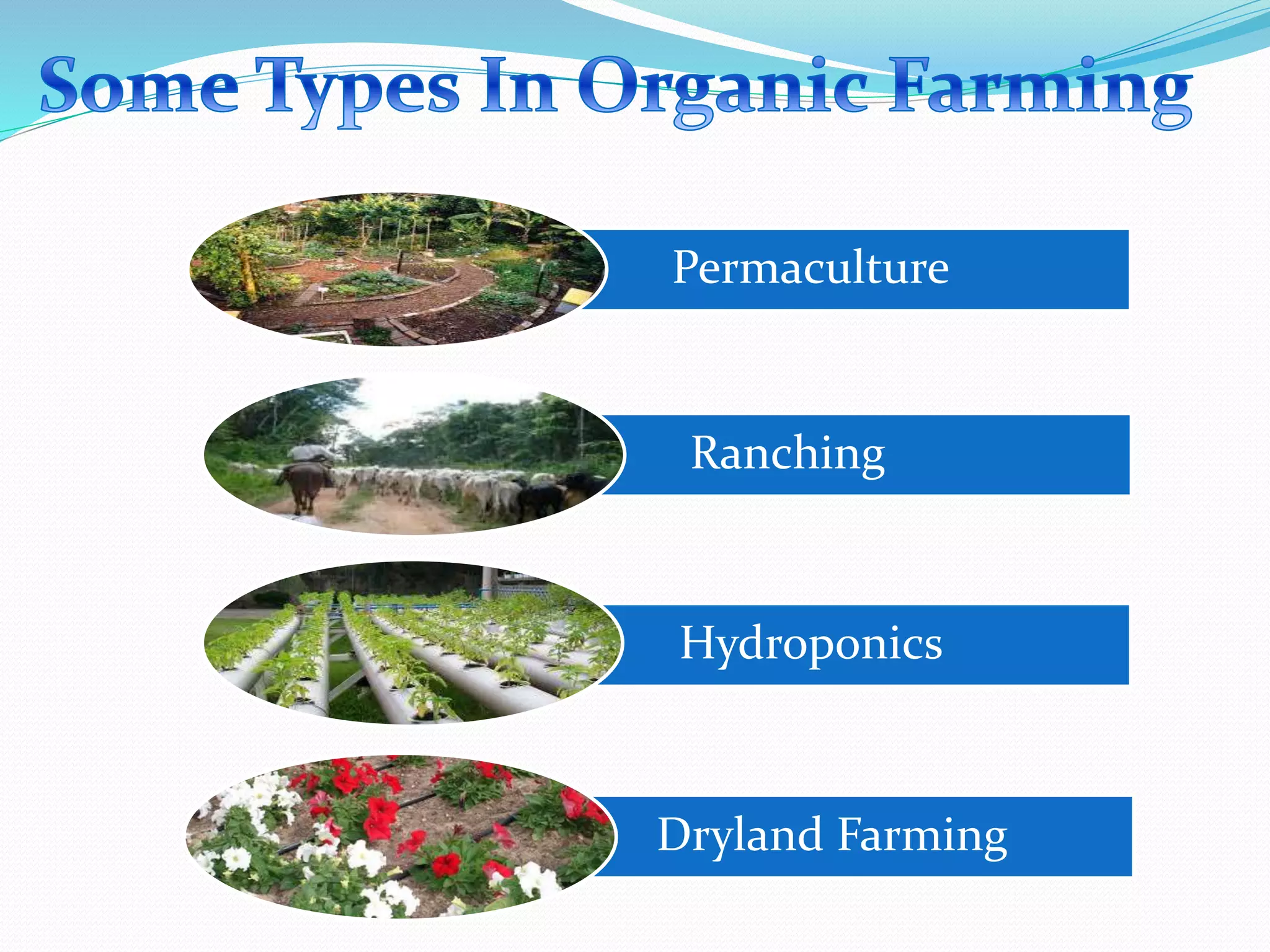 Organic farming Powerpoint presentation | PPTX
