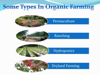 Organic farming Powerpoint presentation | PPTX