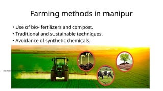 different methods ORGANIC FARMING IN MANIPUR.pptx