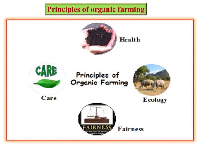 Organic farming | PPTX
