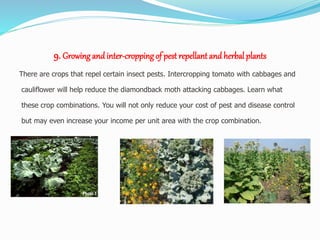 Organic farming , medicinal plants A Presentation By Mr Allah Dad Khan ...