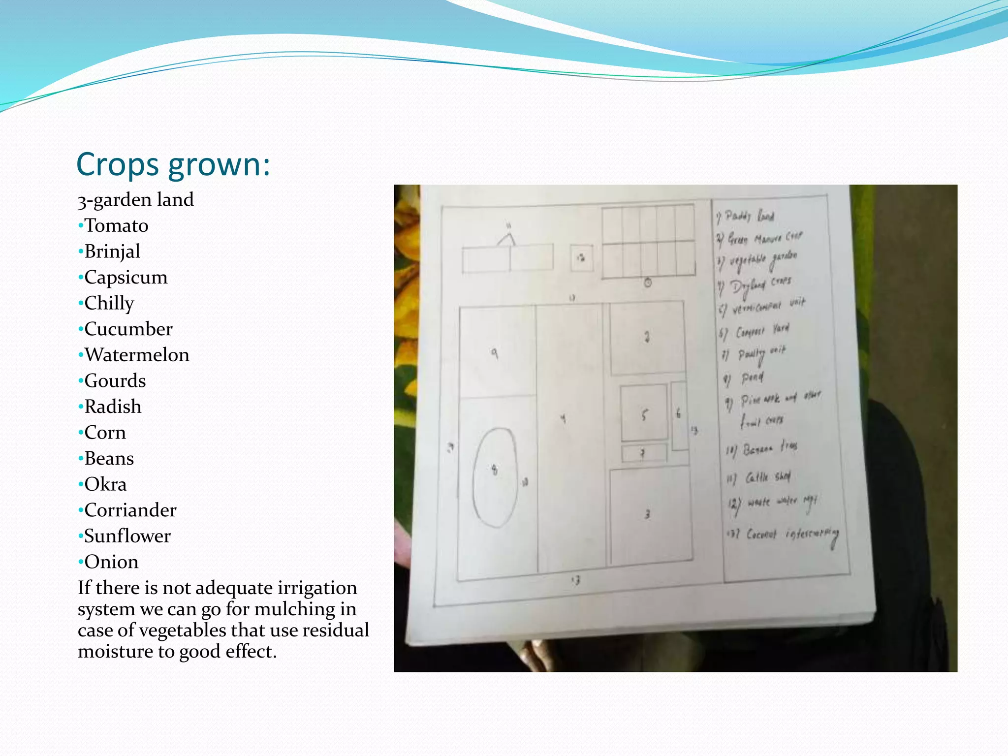 Organic farming model | PPTX