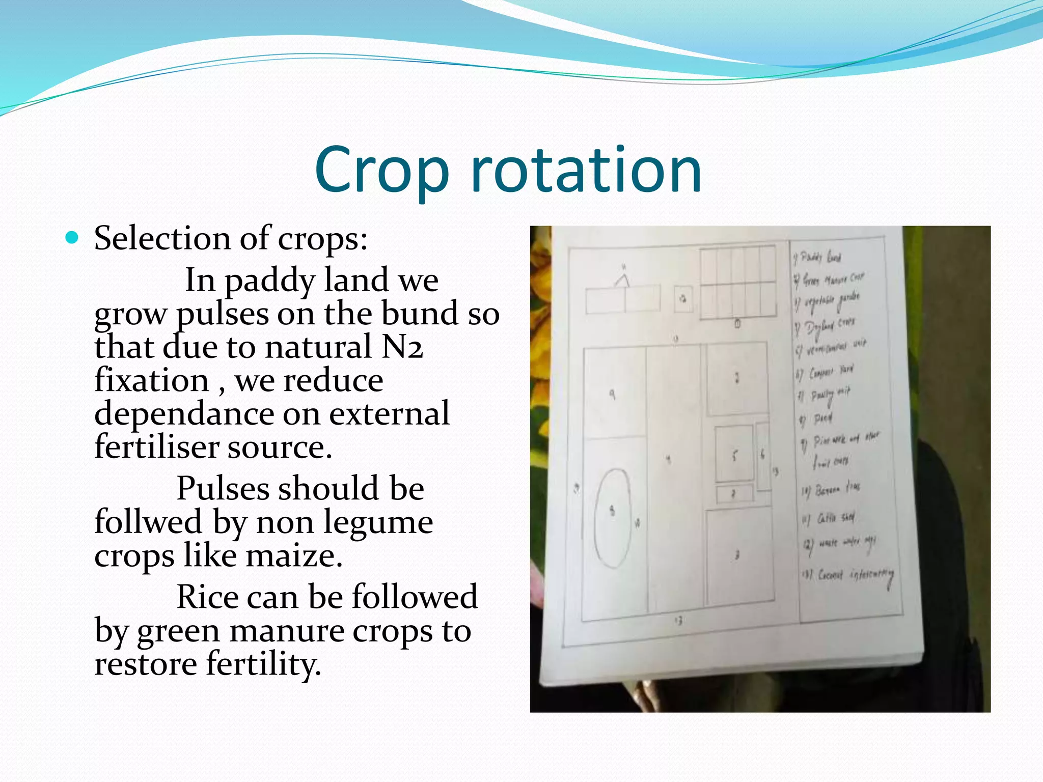 Organic farming model | PPTX