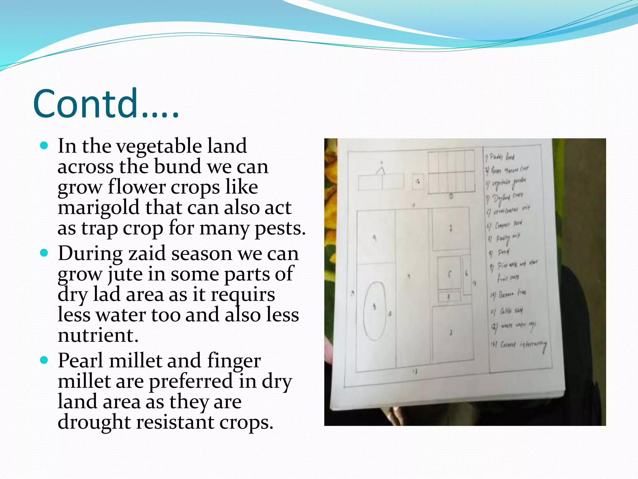 Organic farming model | PPTX