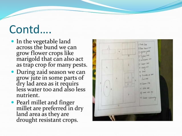 Organic farming model | PPTX
