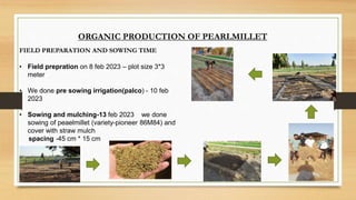 ORGANIC FARMING OF PEARLMILLET.pptx2.pptx