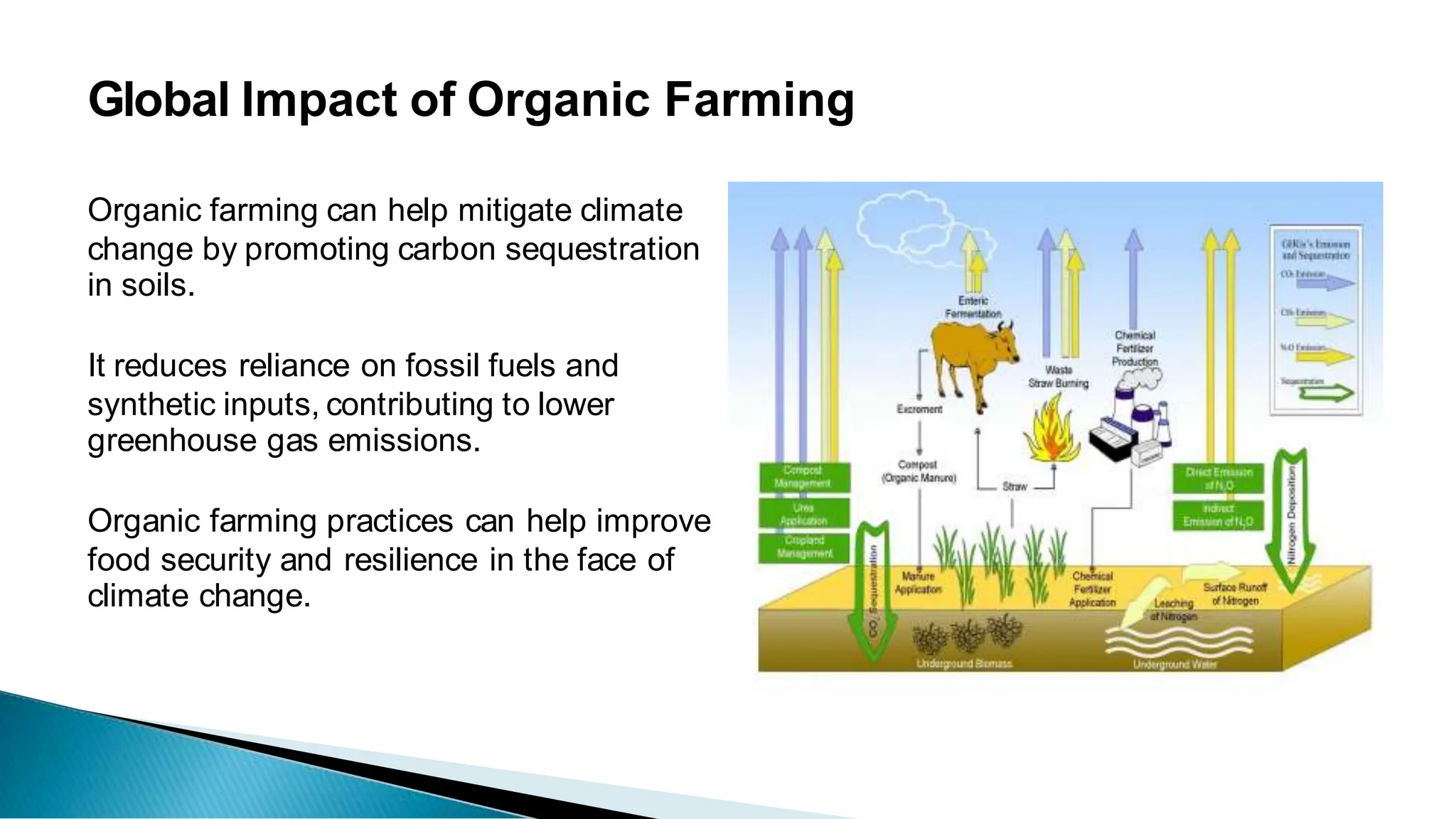 Organic Farming promote and classification type | PDF