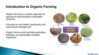 Organic Farming promote and classification type | PDF