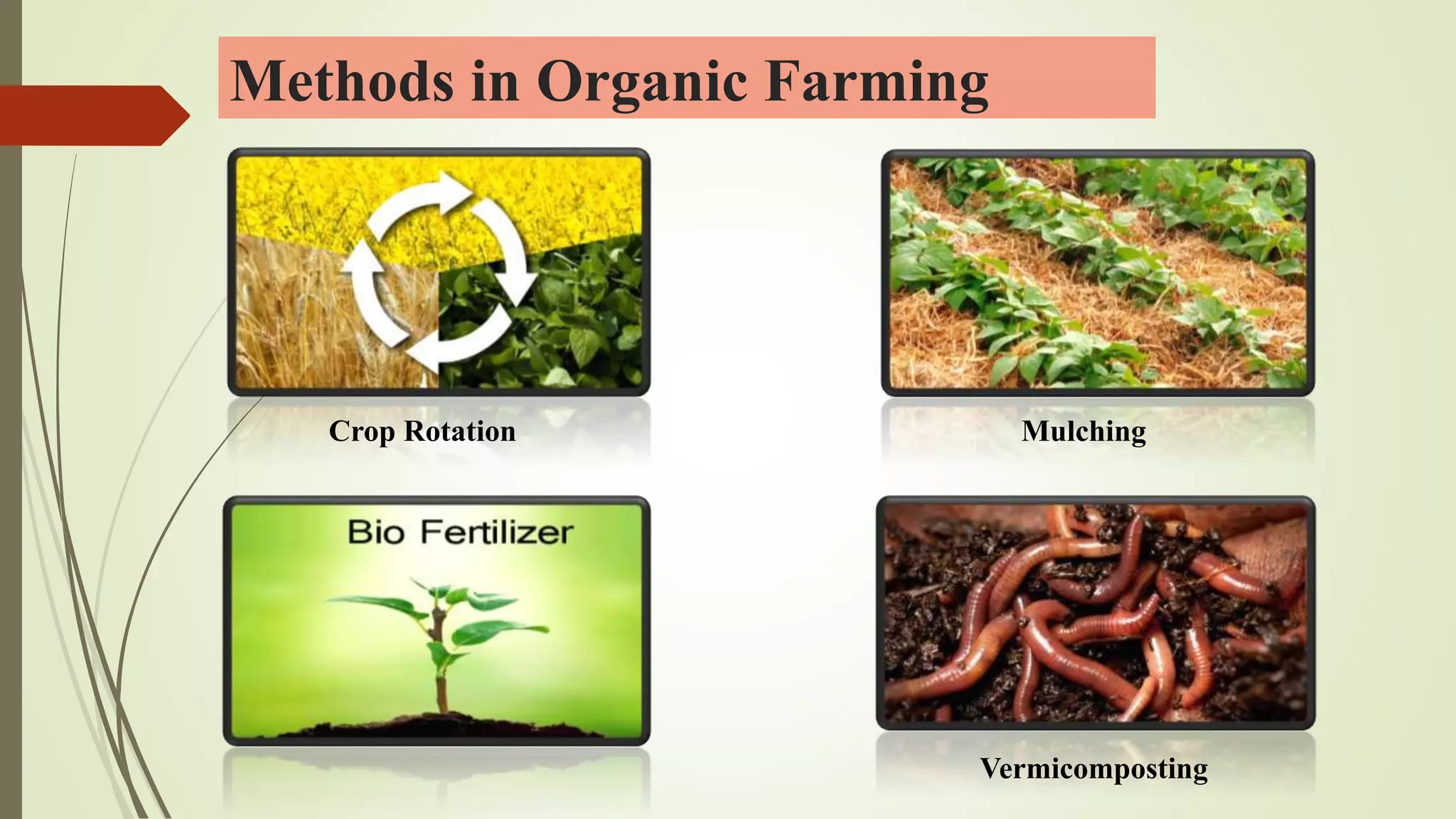 Organic farming : A path for Sustainable Development | PPTX