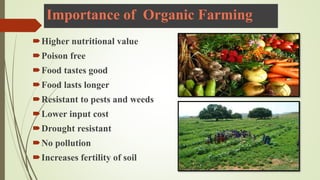 Organic farming : A path for Sustainable Development | PPTX