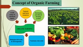 Organic farming : A path for Sustainable Development | PPTX