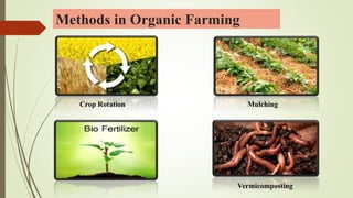 Organic farming : A path for Sustainable Development | PPTX