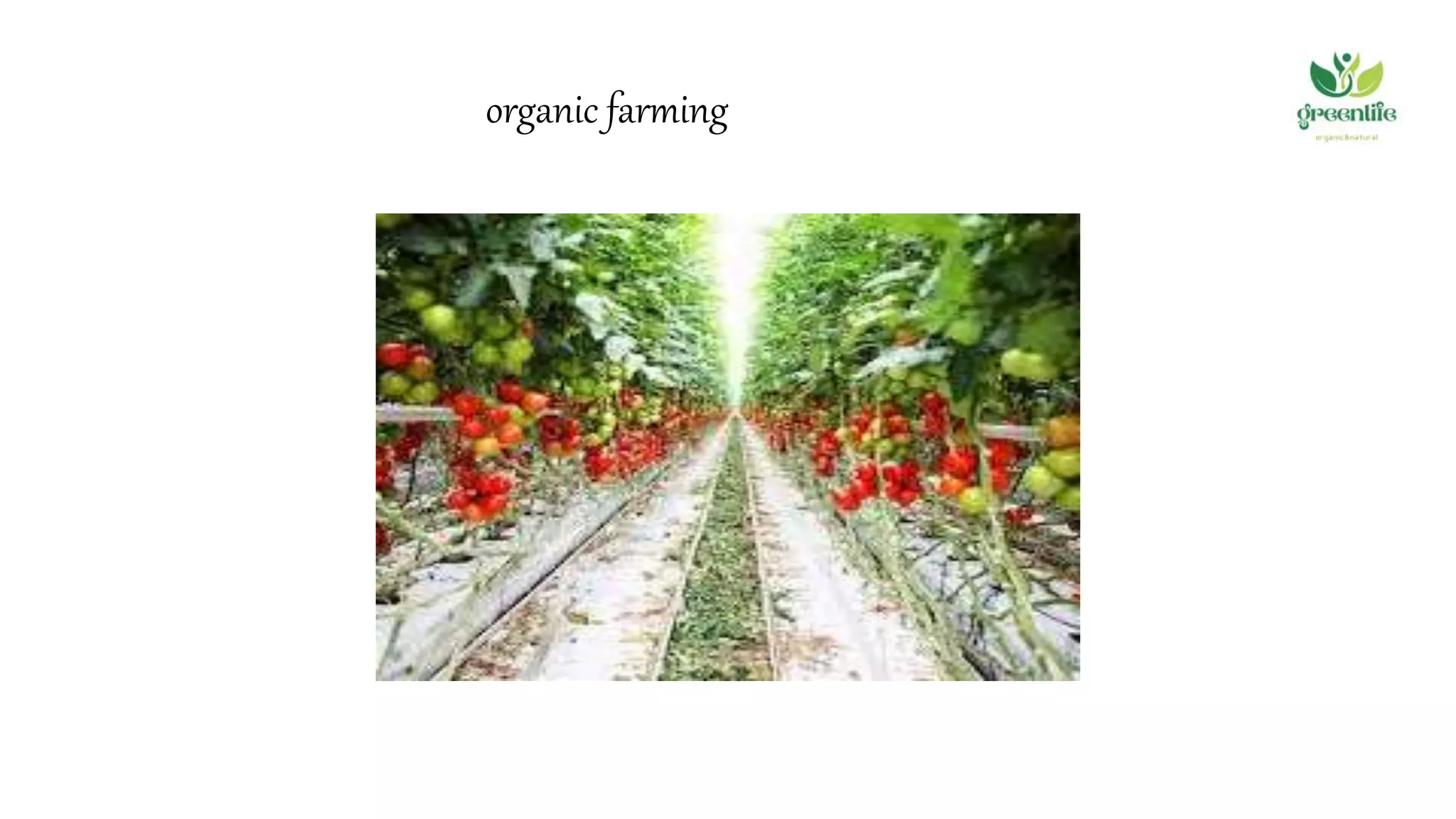 organic farming_PPT.pptx