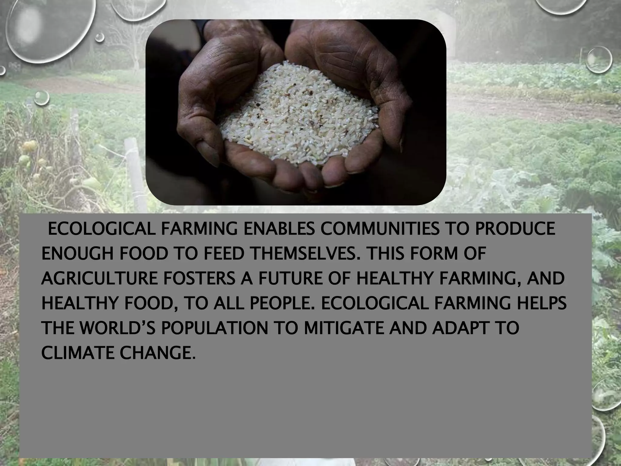 Ecological Agriculture | PPTX