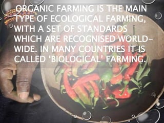Ecological Agriculture | PPTX
