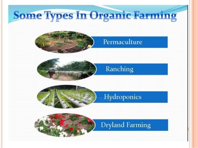 Organic farming presentation