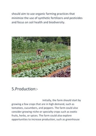 organic farming project report.pdf