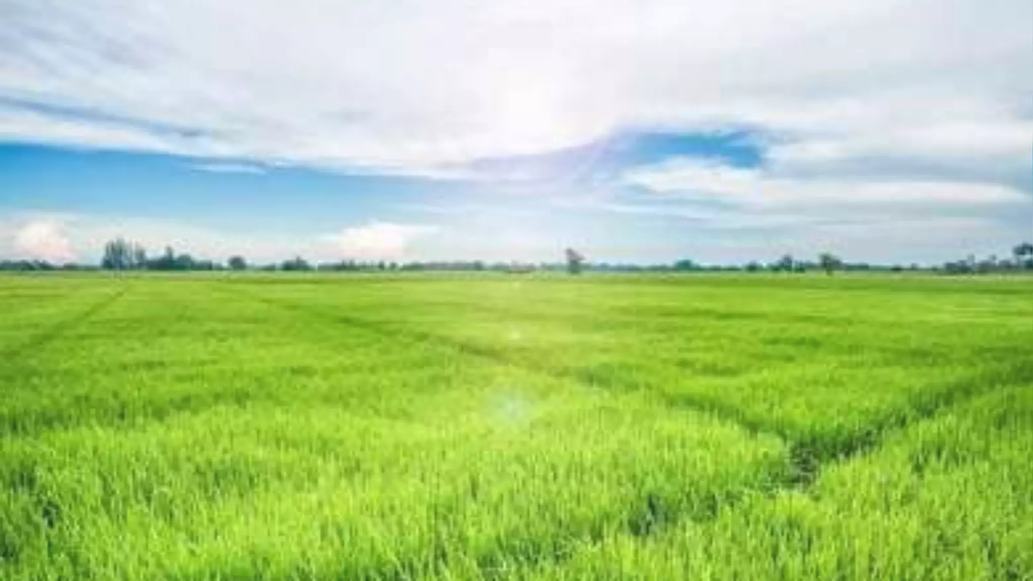 organic fertilizer ppt.pptx