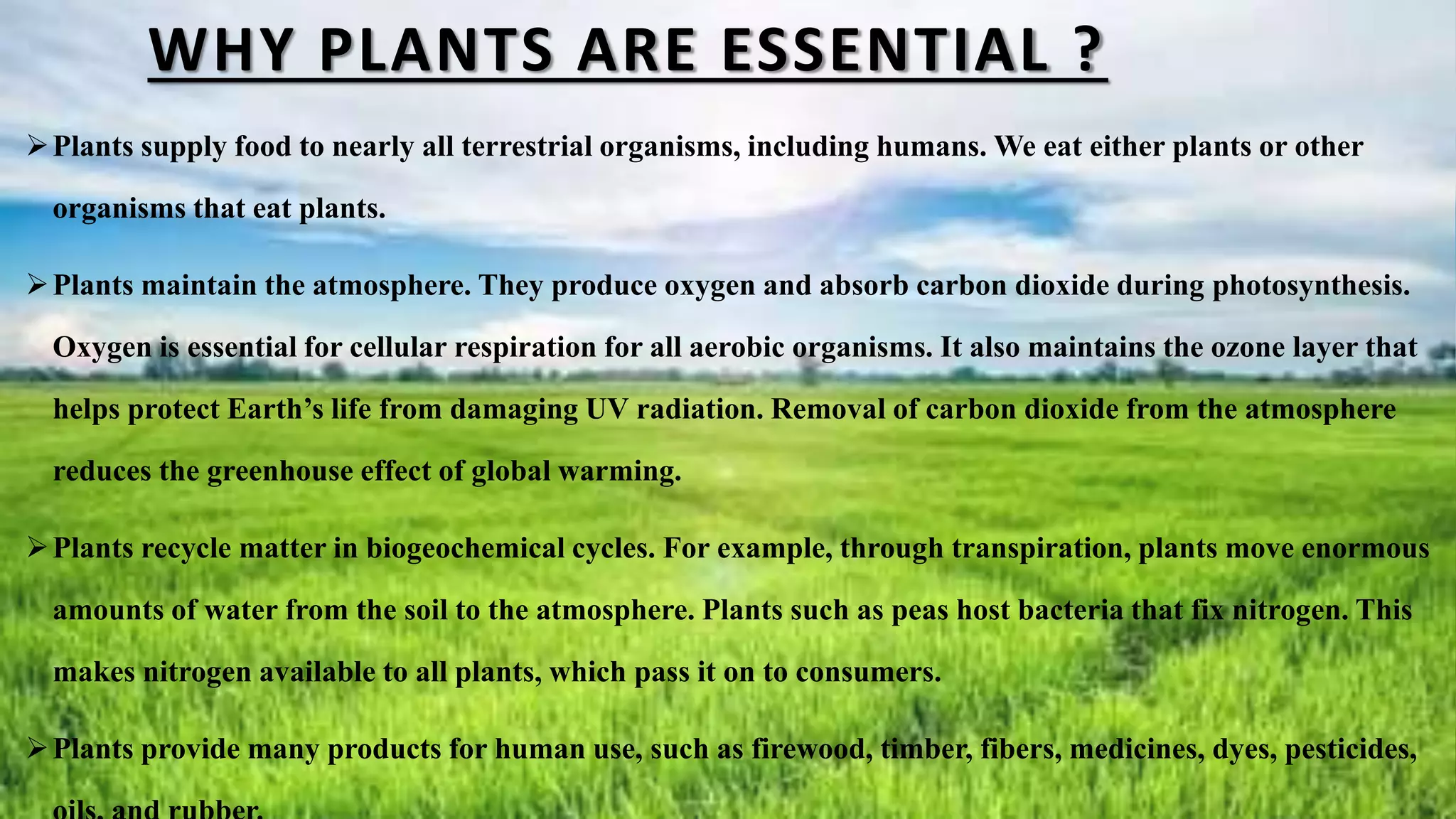 organic fertilizer ppt.pptx