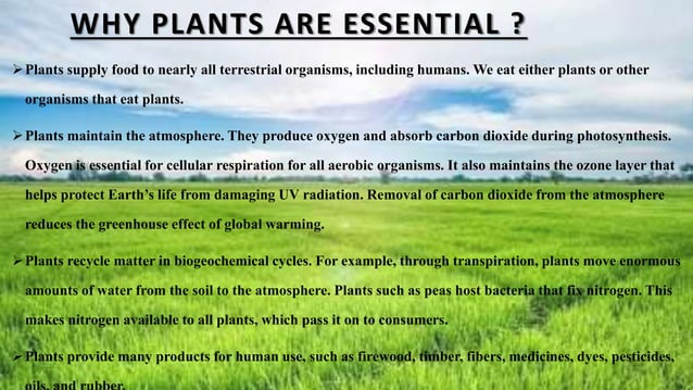 organic fertilizer ppt.pptx