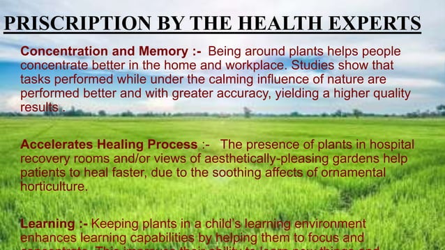 organic fertilizer ppt.pptx