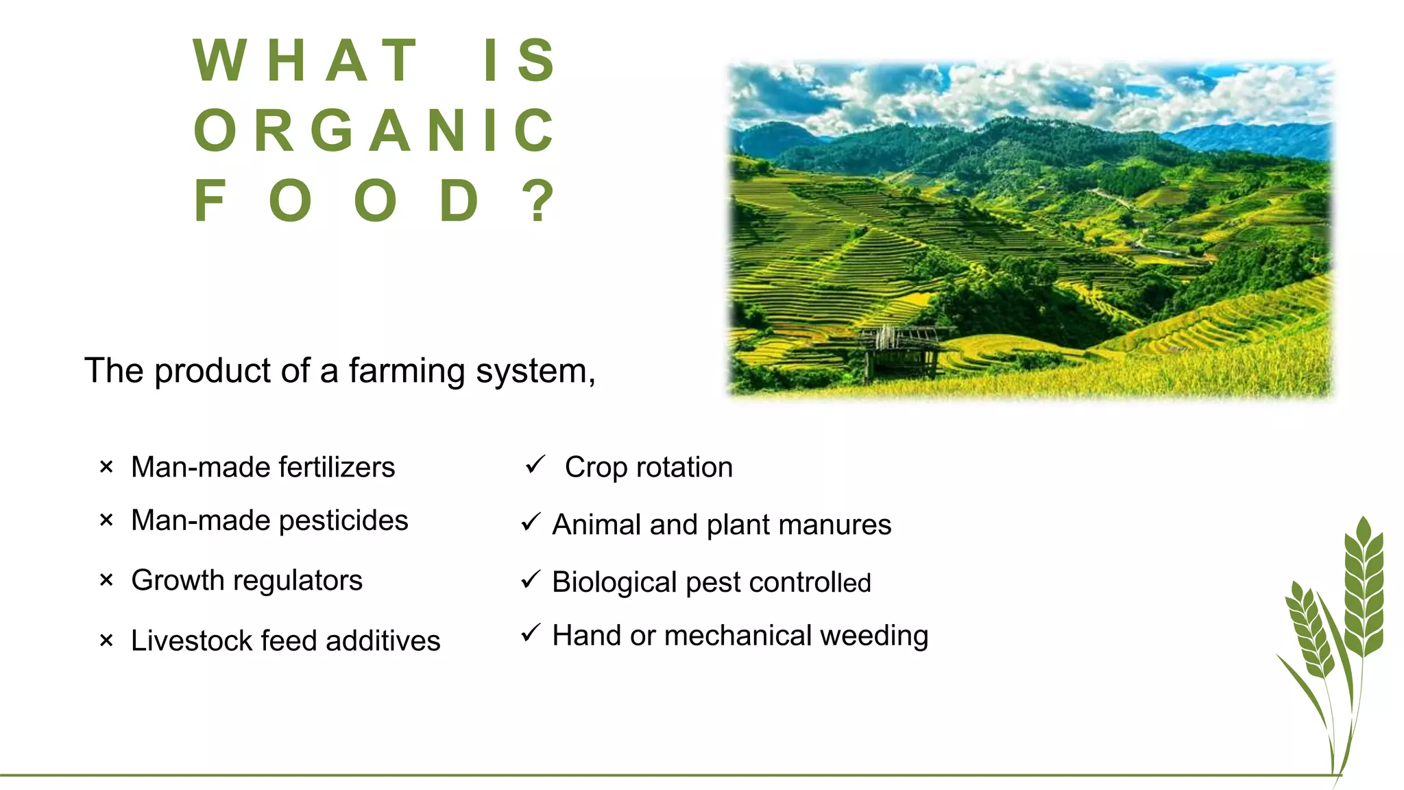 Organic food presentation | PPTX