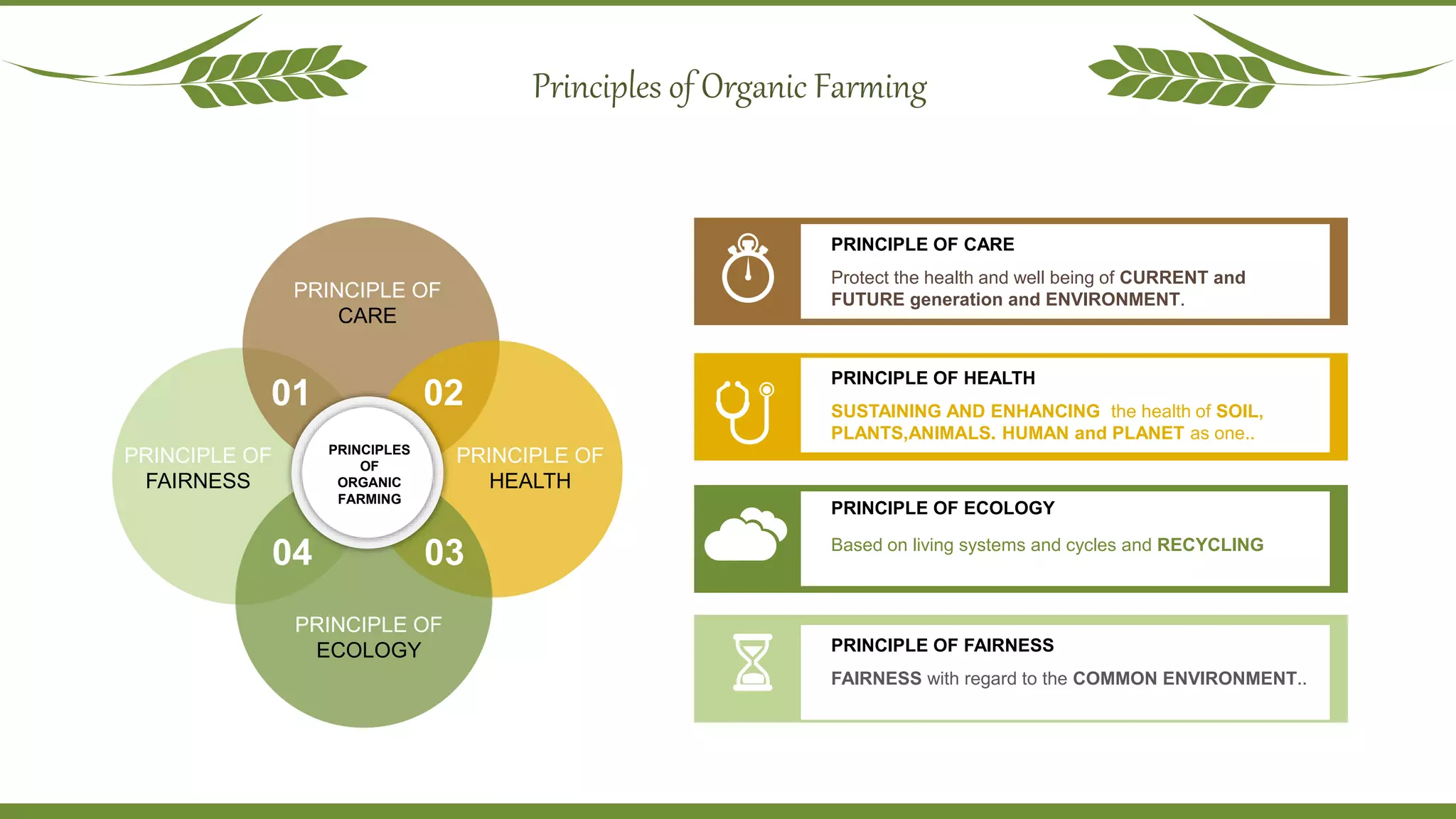 Organic food presentation | PPTX